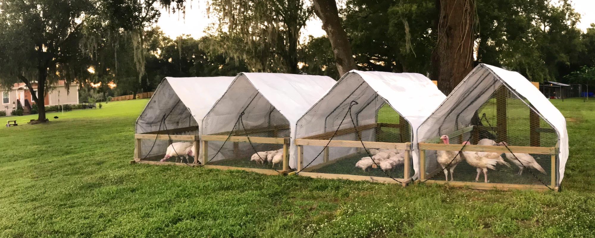 What’s a chicken tractor? – Our Way Farms